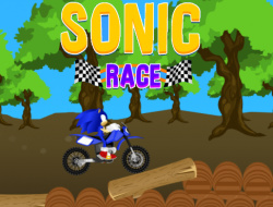 Sonic igra. Sonic Igre Online Free - igrati besplatno igra- igra