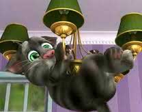 Igra Talking Tom Mačka Besplatno - igrati besplatno igra- igra